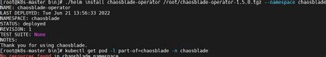 问题：安装chaosblade Operator150版本后 Pod起不来 · Issue 155 · Chaosblade Io