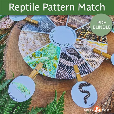 Reptile Matching Activity Reptile Game Pattern Activity Preschool