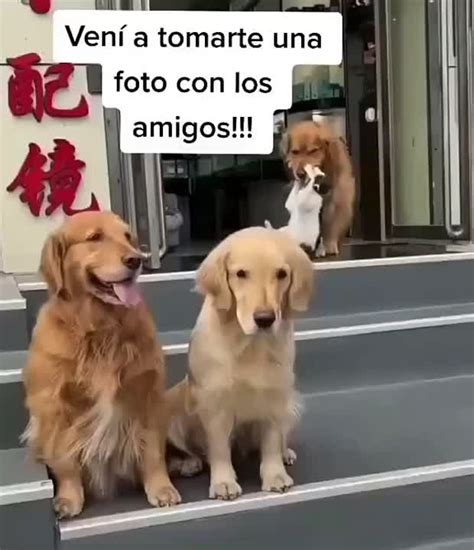 Hernan Rodriguez Posted On Linkedin