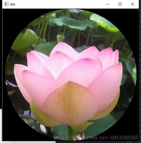 Opencv2413 中 选取roi区域，任意形状（矩形，不规则多边形，圆形，椭圆，手动指定形状）opencv 中region是什么形状