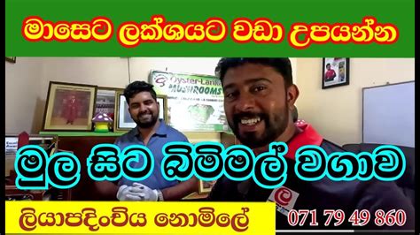 බිම්මල් වගාව මුල සිට සරලව Mushroom Cultivation Youtube