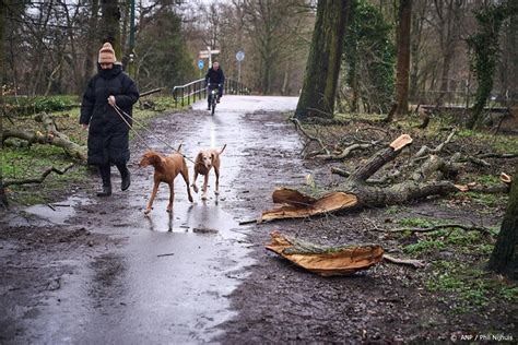 Eerste Storm Van Het Jaar Een Feit