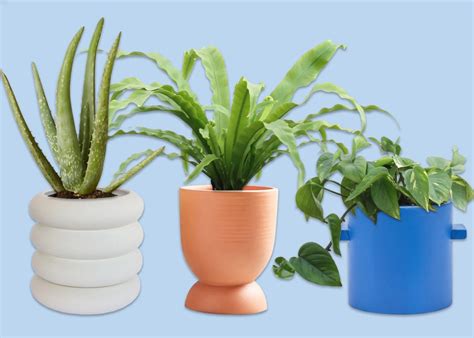 How To Make A Suspended Concrete Floor Planter Box