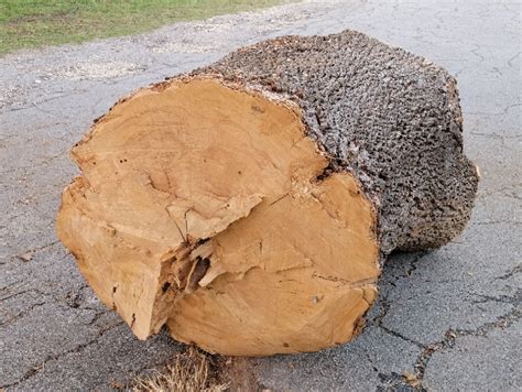 Loading The Ash Trunk Jims Random Notes