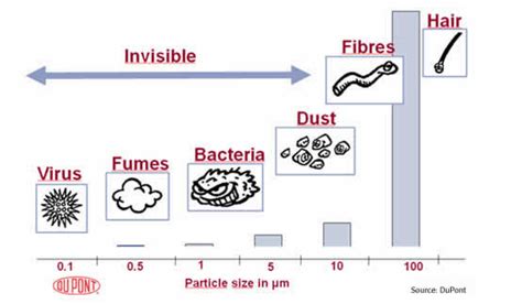 What Is Microbiology A Comprehensive Guide Q6 Consulting