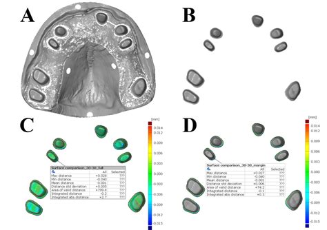 The Segmentation And Measurement Of The Scanned Model A The Scanned