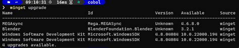 Package Issue Package Identifer Issue Microsoft Winget Pkgs GitHub