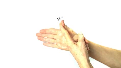 Lumbrical Muscles Of The Hand Origin Insertion Function