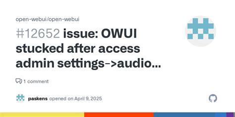 Issue Owui Stucked After Access Admin Settings Audio Or Click Read