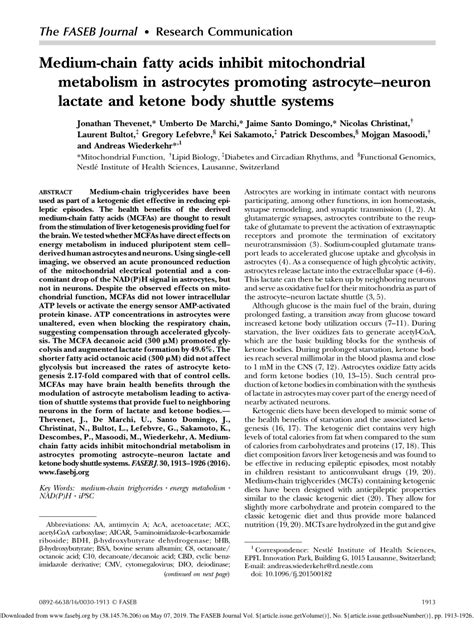 Pdf Medium Chain Fatty Acids Inhibit Mitochondrial Metabolism In