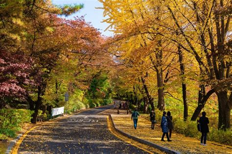단풍 즐기는 색다른 방법… 수도권 사람들은 다 모일 가을 행사는