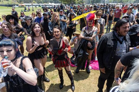 Electrifying Echoes Inside The Vibrant Cruel World Festival Grateful Web