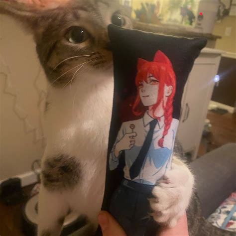 Custom Dnd Class Cat Sticker Pack Dnd Cat Stickers Dnd Stickers