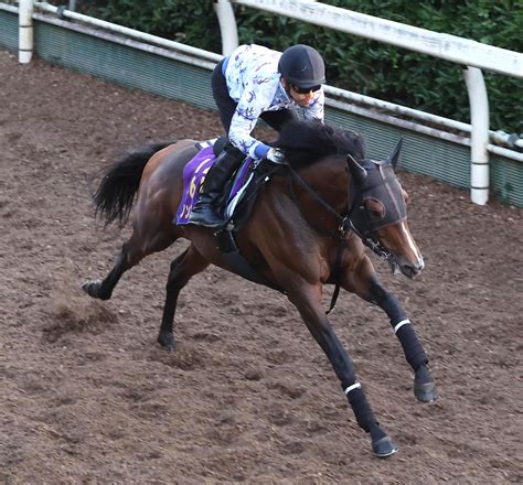 【毎日ベスト3】明神記者が選ぶ中京記念の追い切り速報ベスト3 毎日ベスト3 競馬コラム写真ニュース 日刊スポーツ