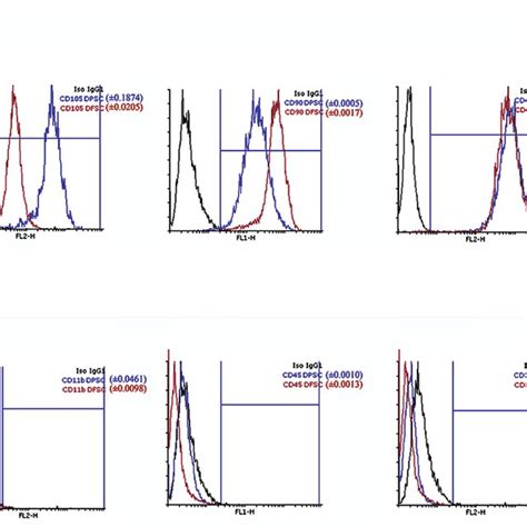 Immunophenotyping Results Of The Expressions Of A Mesenchymal B