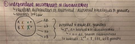 Biol Test 2 Flashcards Quizlet