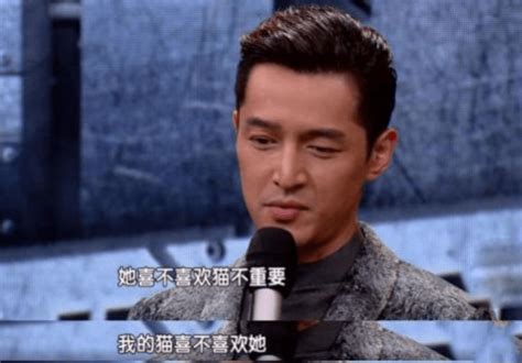 胡歌小11岁老婆被扒，白富美学霸因猫结缘，比江疏影薛佳凝还漂亮胡歌官网友女孩