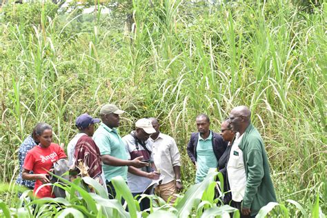 Landscape Restoration Capability Along The Albertine Rift Project Kabale University Gallery