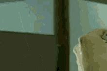 World Wide Web Gif GIFs Tenor