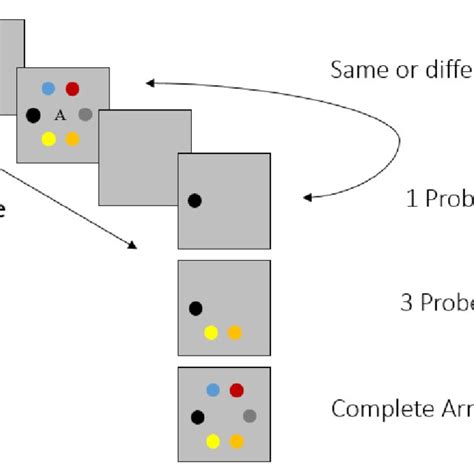 Schematic Depiction Of The Change Detection Paradigm Of The Learning