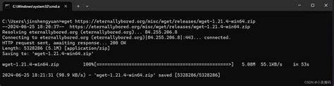 Wget Win Csdn