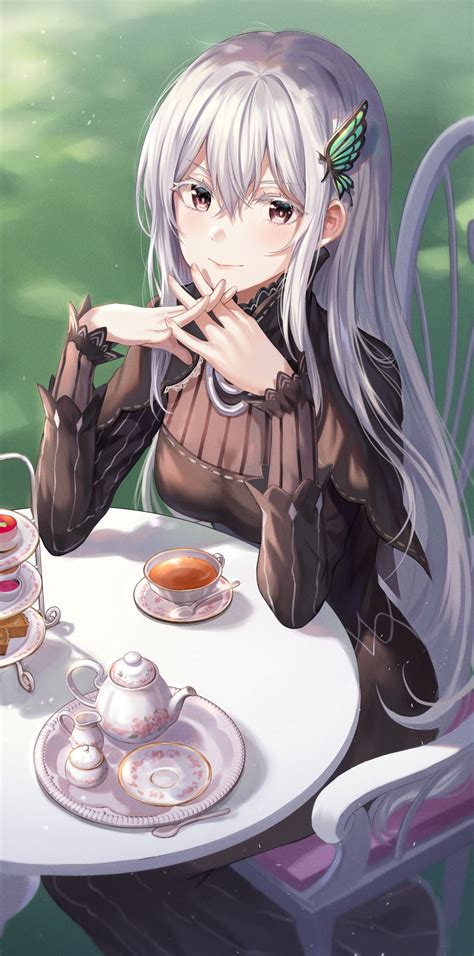 Media Echidna Waiting Rrezero