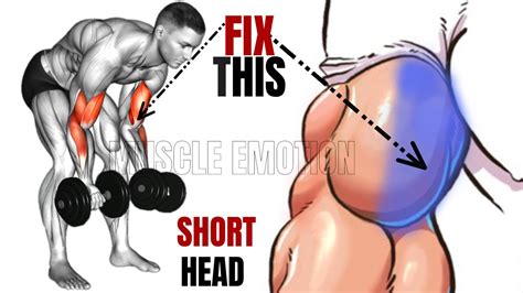 5 Best Biceps Short Head Workout At Gym Musculation Portion Courte