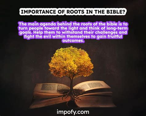 Top 10 Importance Of Roots In The Bible Benefits Included