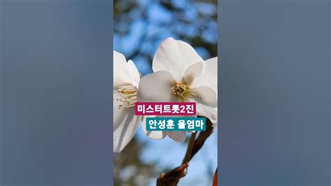미스터트롯2진 안성훈 인생곡 울엄마 심금을 울리는 안성훈의 결승곡 미스터트롯2진안성훈 Youtube