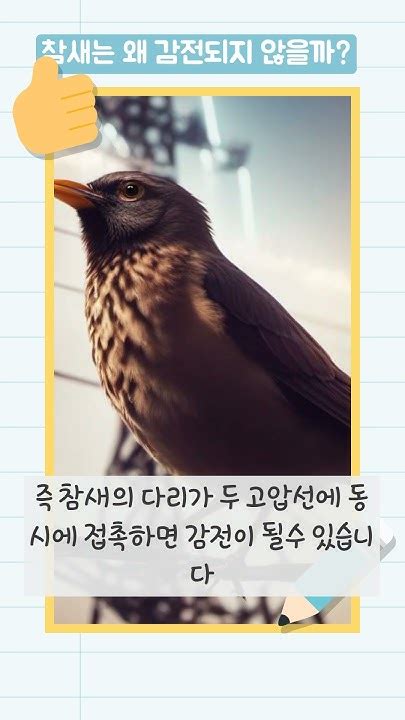 참새는 왜 감전되지 않을까 Youtube