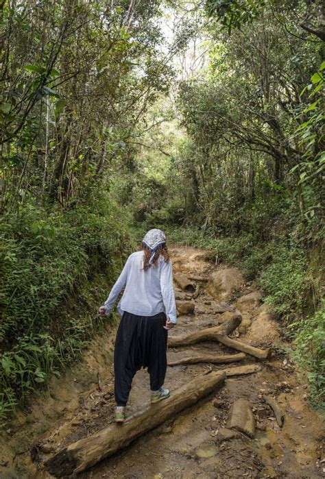 318 Mujer De Los Desnudos En El Bosque Fotos Libres De Derechos Y