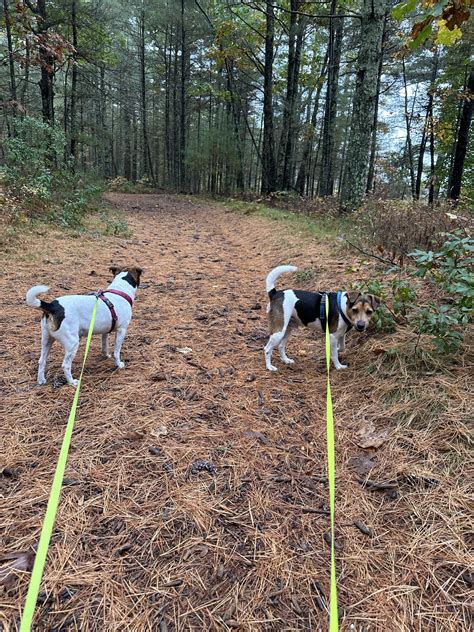 Massasoit State Park