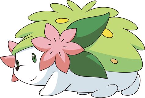 Shaymin Pokémon Wiki Fandom Pokemon Cute pokemon Pokémon soulsilver