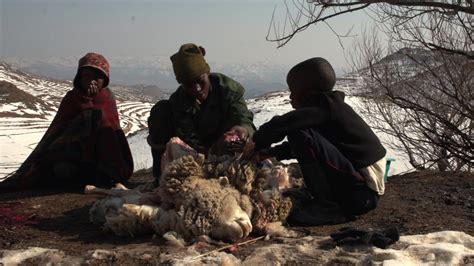 Coming Of Age Trento Film Festival