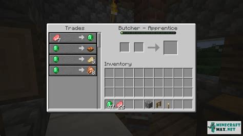 Butcher Villagers In Minecraft Minecraft Wiki