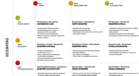 Test De Talento Y Potencial Profesional