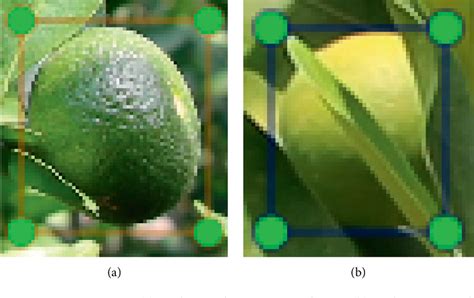 Figure 1 From Detecting Citrus In Orchard Environment By Using Improved Yolov4 Semantic Scholar
