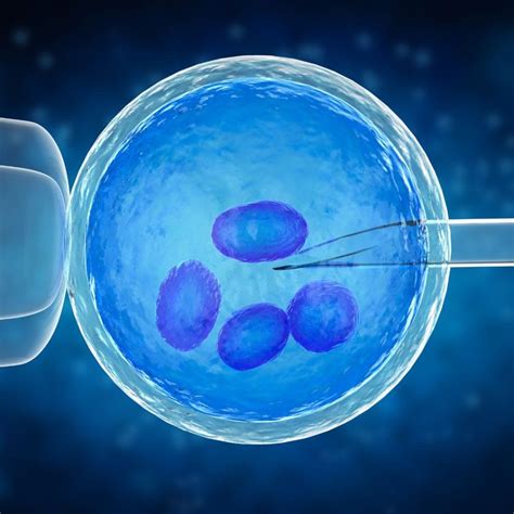 Everything You Need To Know About Iui Artificial Insemination