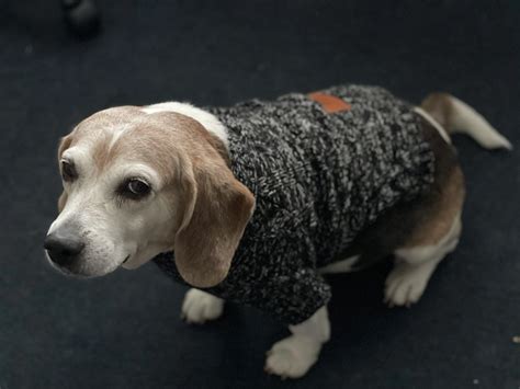 Sweater Weather Is Here Scrolller