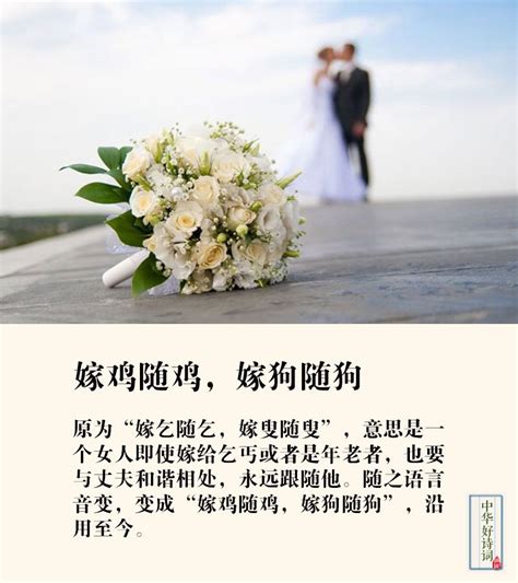 这些俗语被误传了千年，涨知识了！