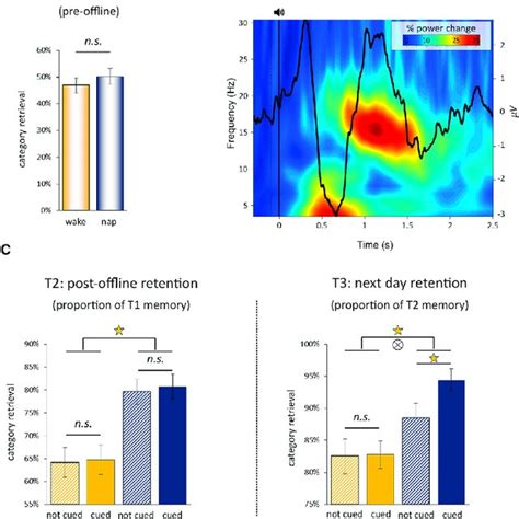 Behavior And Evoked Responses Download Scientific Diagram