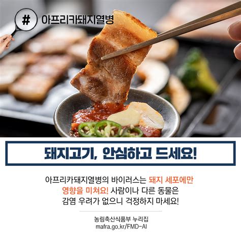 정책주간지 K 공감 이젠 스마트폰📱으로 주민등록등본 발급받으세요 꼭 알아야 할 이 주의 정책