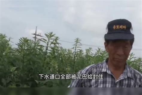 小狗下水道生活了数个月，凭自身实力上来，难如登天自身实力下水道生活