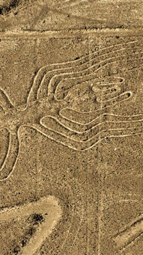 Nuevo Hallazgo Investigadores Encontraron 168 Nuevas Figuras En Nazca