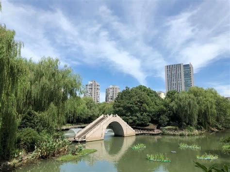 幸福西湖我发布——古荡街道篇 搜狐大视野 搜狐新闻