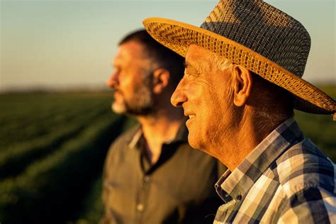 El Alzhéimer Y El Calor Cuidados Necesarios Aiudo Blog