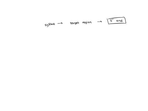 Solved Which Sgrna Portion Does A Researcher Customize To Bind The