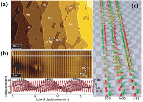 Spin Polarized Scanning Tunneling Microscope Topography Of The Mn