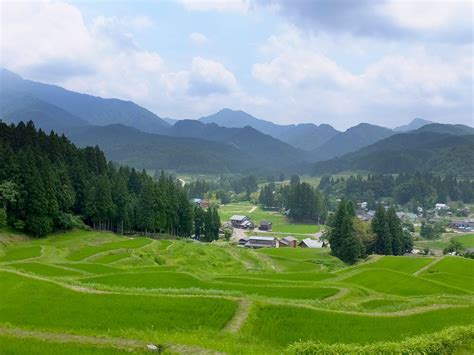 北五百川（きたいもがわ）｜ 新潟県三条市 棚田navi