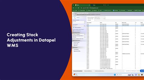 Creating Stock Adjustments In Datapel Wms
